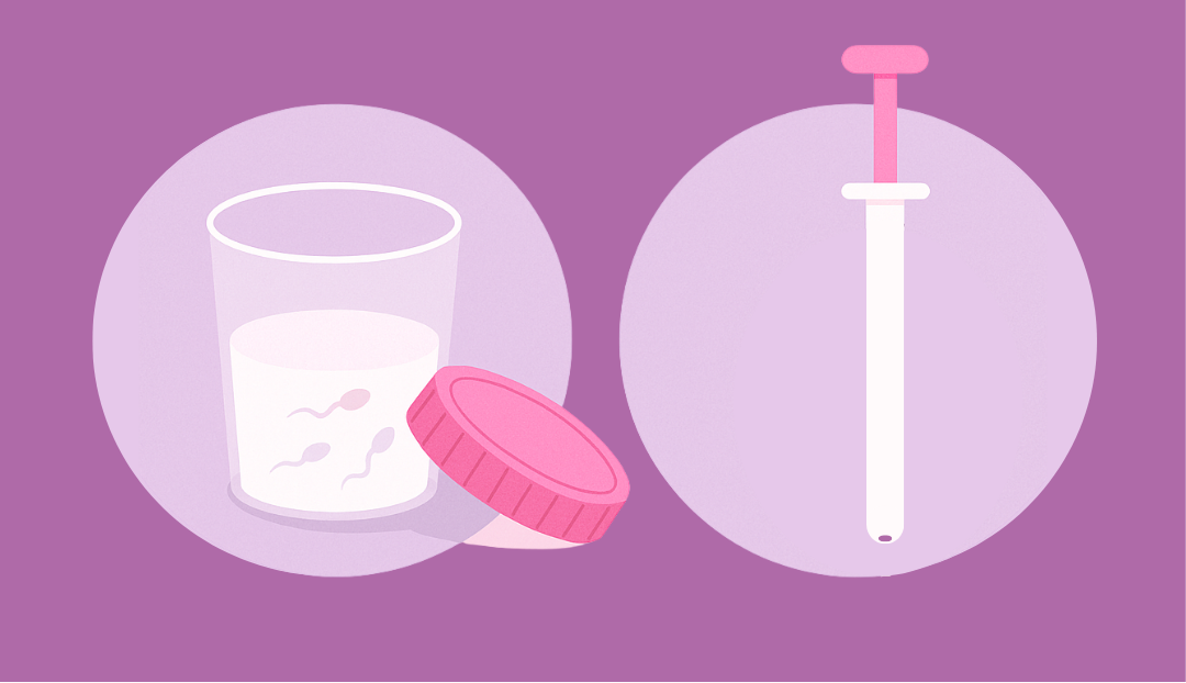 Artificial Insemination Processes and Methods – Home Insemination ...